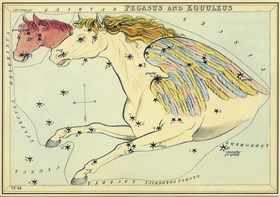 Pegasus zodiac sign dates 60 photos - Astrologytoyou.com